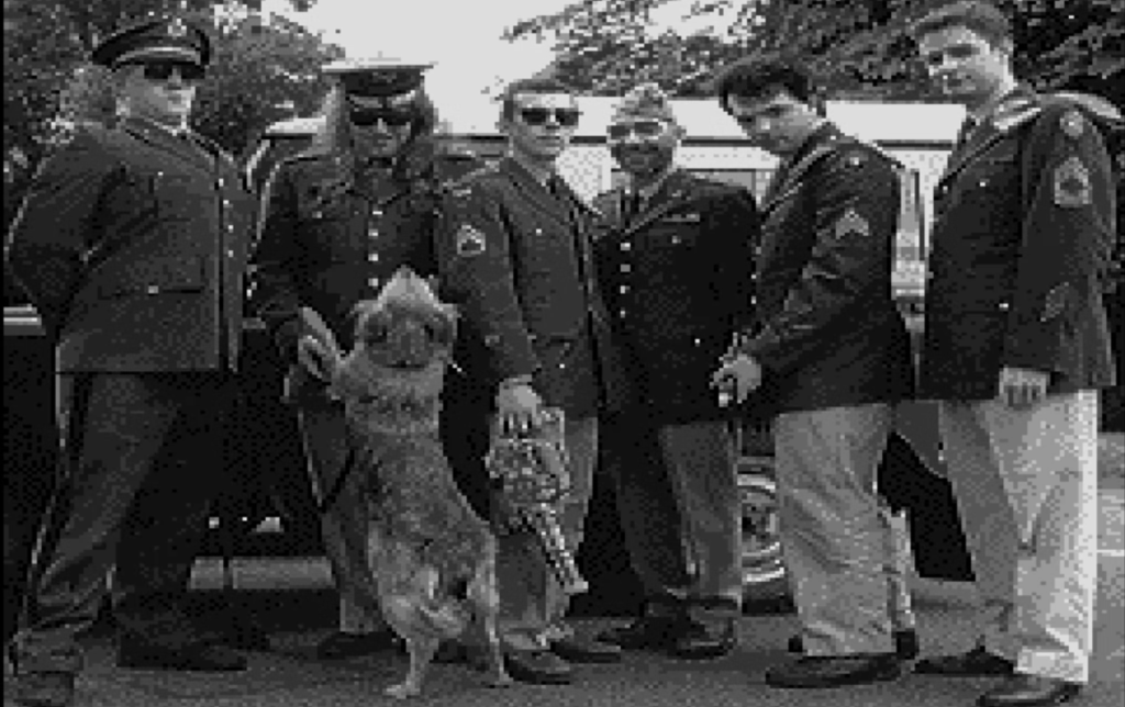 Historia i upadek Sensible Software - Entuzjasta Gier