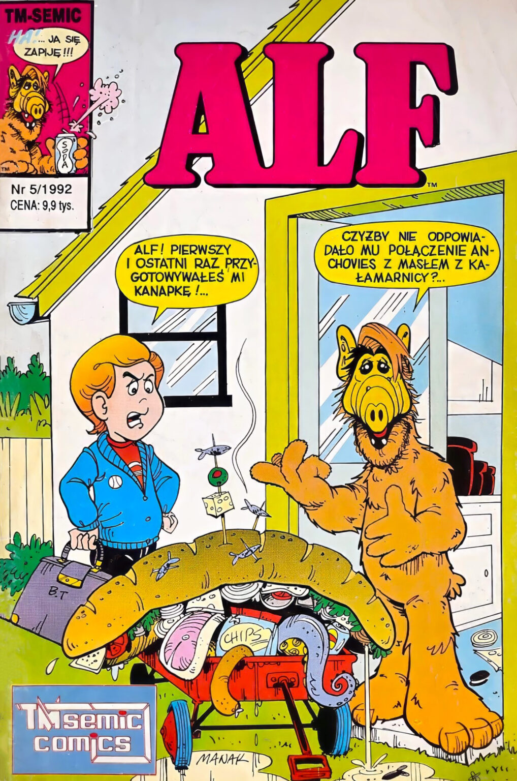 ALF - ciekawostki z serialu - Entuzjasta Gier